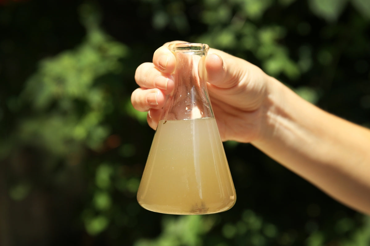 Eau contaminée : quels sont les risques pour votre santé ? – Weeplow ...